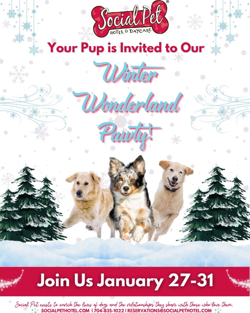 Your Pup is Invited to Our Winter Wonderland Pawty! - Social Pet Hotel ...